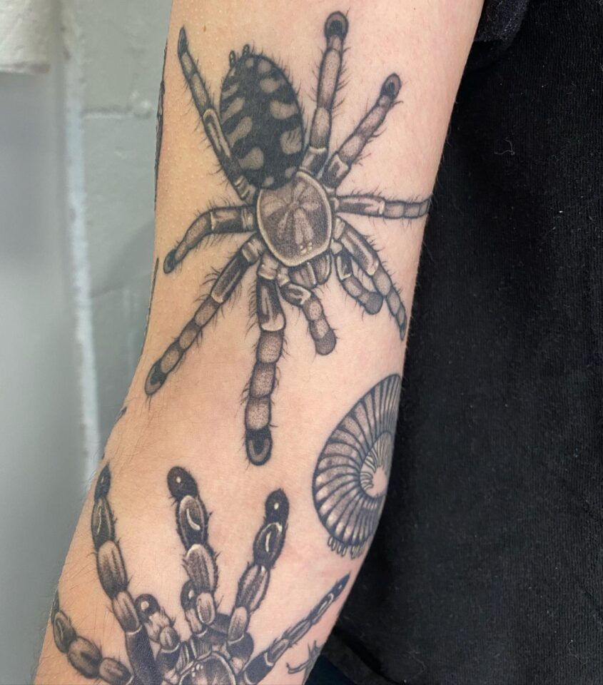 30+ Bug Tattoo Ideas - Creepy, Crawly, and Captivating Jawdrop Ink