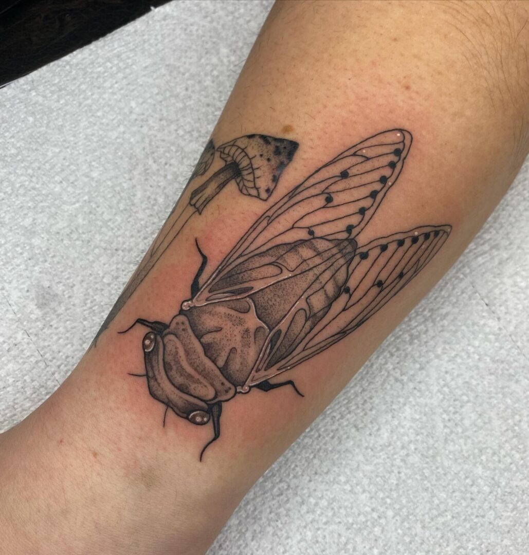 30+ Bug Tattoo Ideas - Creepy, Crawly, and Captivating Jawdrop Ink